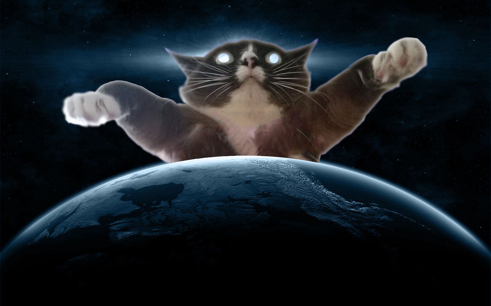 Epic Laser Cat Wallpaper